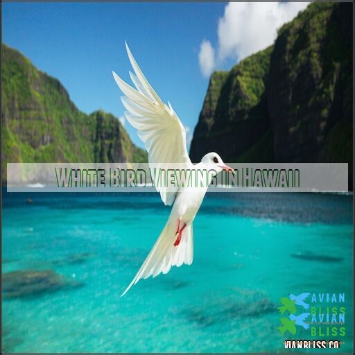 White Birds in Hawaii: Stunning Species You Need to Know About