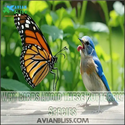 Do Birds Eat Butterflies? Toxic Species and Surprising Eaters