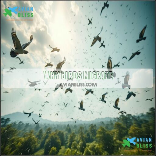 Identifying Birds During Migration Season: Pro Tips for Perfect Spotting