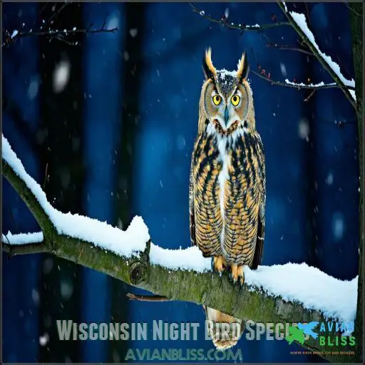 Night Birds in Wisconsin: Guide to Nocturnal Species and How to Spot Them