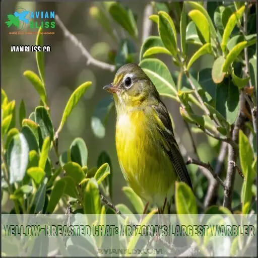 Yellow Birds in Arizona: 15 Stunning Species You Must See Today!