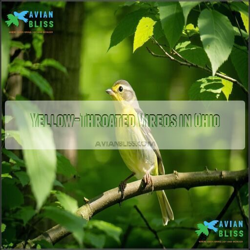 Yellow Birds in Ohio: 15 Stunning Species You Must See! (With Photos)