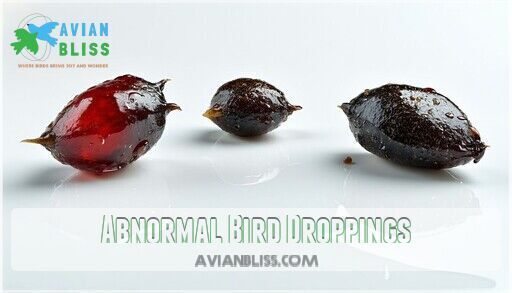 Bird Diarrhea Treatment Home Remedies: Simple Tips for Quick Relief