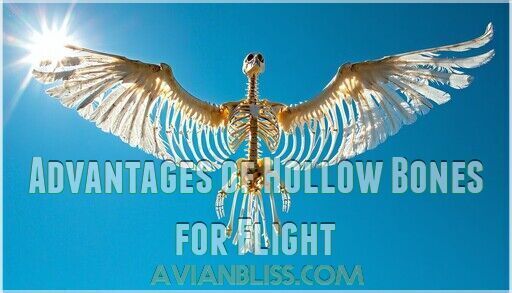 Why Do Birds Have Hollow Bones? The Amazing Truth!