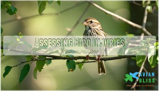 Bird First Aid for Broken Leg: Steps to Help Injured Birds Quickly