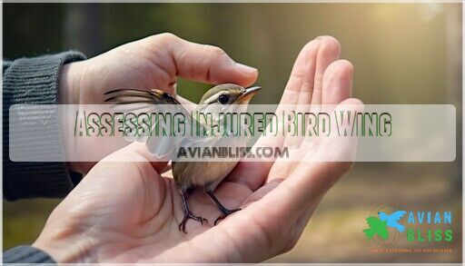 How to Treat Injured Bird Wing: Simple Steps to Help It Heal Safely