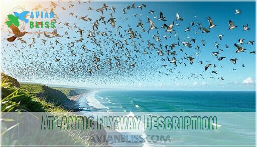 Bird Migration Distance by Species: Shocking Records That Will Amaze You