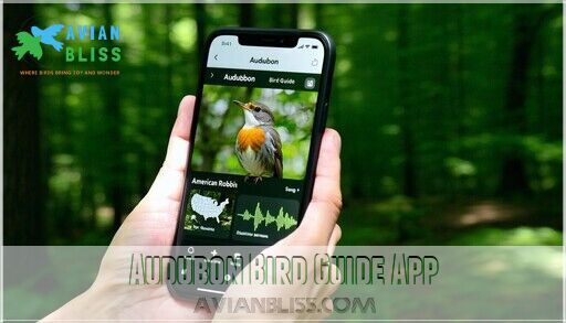 Bird Identification by Song Online: Top Apps and Tools to Try Today