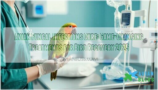 Avian Fungal Infections Cure: Game-Changing Treatments for Bird ...