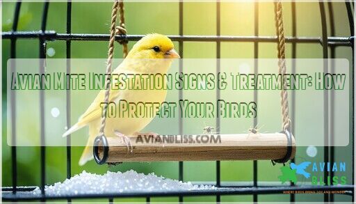 Avian Mite Infestation Signs & Treatment: How to Protect Your Birds