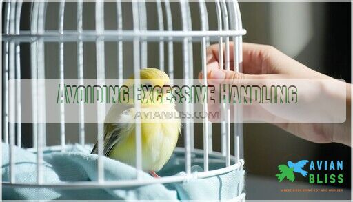 How to Help Bird With Respiratory Problems: Signs, Causes, and Care