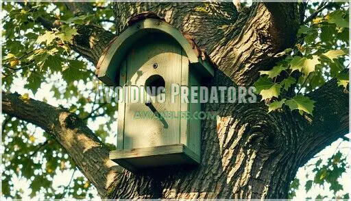 Best Wood for Bird Houses: Top Options to Protect Birds and Nest Comfort