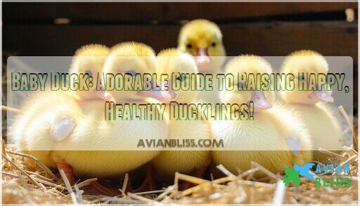 Baby Duck: Adorable Guide to Raising Happy, Healthy Ducklings!