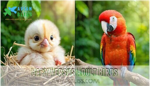 Cheap Talking Birds: 7 Budget Parrots That Won't Break The Bank in 2025!
