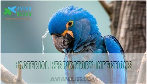 Parrot Health Issues Symptoms: 10 Warning Signs Every Owner Needs