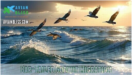 Bird Migration Distance by Species: Shocking Records That Will Amaze You