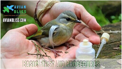 Bird First Aid for Broken Leg: Steps to Help Injured Birds Quickly