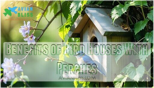 Bird House With Perches: Benefits, Tips & Top Designs for Your Garden