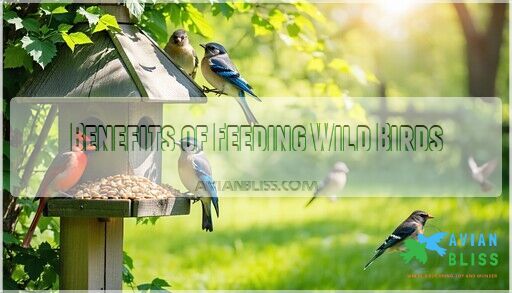 Nutrition for Wild Birds: Secrets of Healthy Bird Diets Revealed!