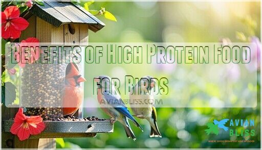 High Protein Bird Food: Boost Health