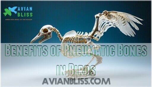 Why Do Birds Have Hollow Bones? The Amazing Truth!