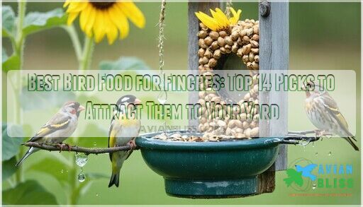 Best Bird Food for Finches: Top 14 Picks to Attract Them to Your Yard