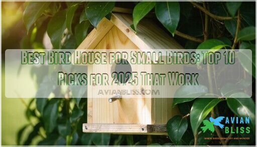 What Makes a Good Birdhouse: 7 Essential Features Bird Experts Recommend