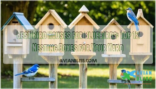 Best Bird Houses for Bluebirds: Top 12 Nesting Boxes for Your Yard