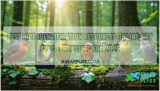 Best Bird Identification Resources Online: Top Apps & Websites for 2025