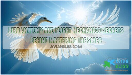 Bird Anatomy and Flight Mechanics: Secrets Behind Mastering The Skies