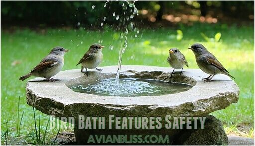 How to Attract Birds to a Bird Bath: Simple Tips for Your Backyard