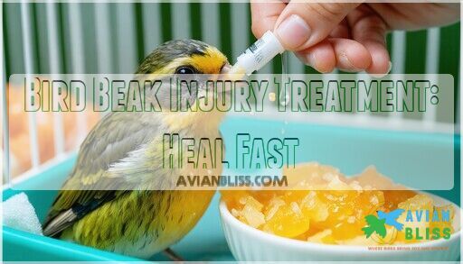 Bird Beak Injury Treatment: Heal Fast