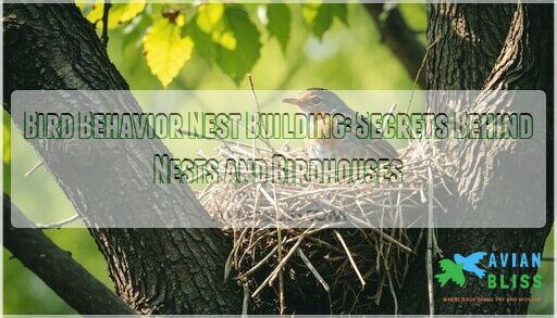 Bird Behavior Nest Building: Secrets Behind Nests and Birdhouses