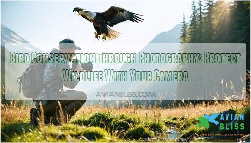 Bird Conservation Through Photography: Protect Wildlife With Your Camera