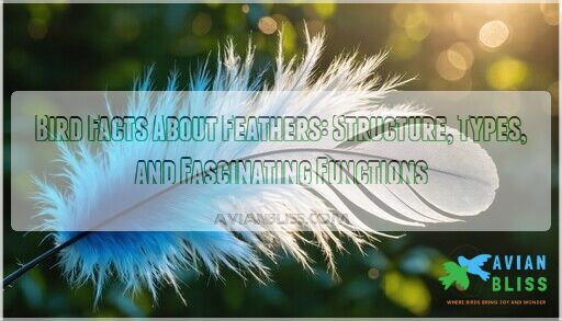 Bird Facts About Feathers: Structure, Types, and Fascinating Functions