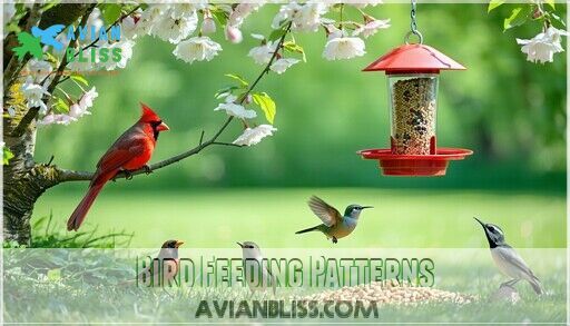 Bird Behavior Feeding Patterns: What You Need to Know About How Birds Eat