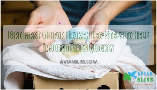 Bird First Aid for Broken Leg: Steps to Help Injured Birds Quickly