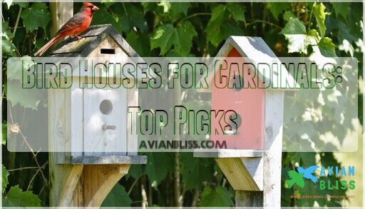 Bird Houses for Cardinals: Top Picks