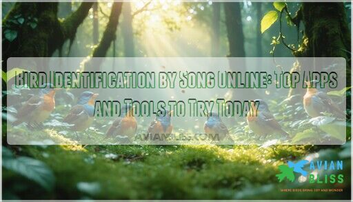 Bird Identification by Song Online: Top Apps and Tools to Try Today