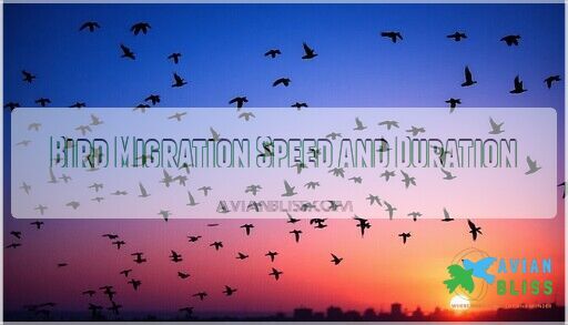 Bird Migration Distance by Species: Shocking Records That Will Amaze You