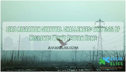 Bird Migration Survival Challenges: Why 65% of Migrants Won't Return Home