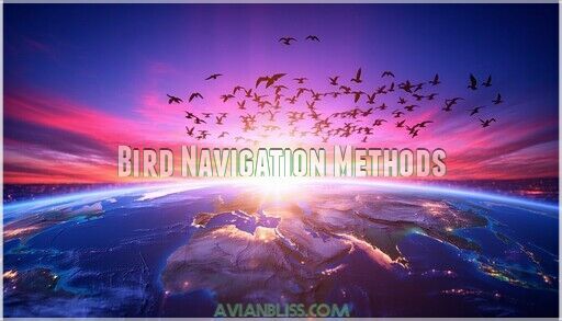Bird Migration Distance by Species: Shocking Records That Will Amaze You