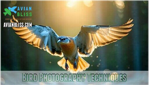 Best Bird Photography Tips for Beginners: Capture Stunning Bird Images