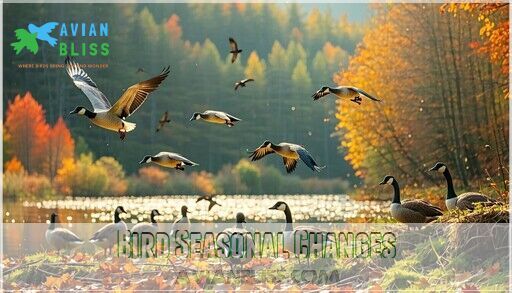 Bird Behavior Seasonal Changes: How Seasons Shape Migration and Nesting