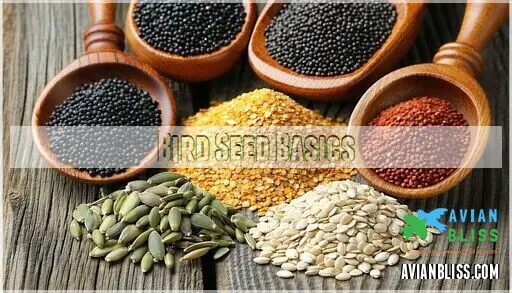 Bird Seed Types and Prices: Top 10 Best Options for 2025
