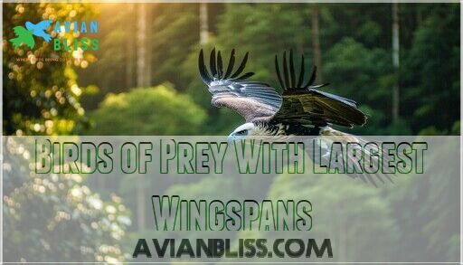 Largest Wingspan Bird: Meet The Giants of The Skies!