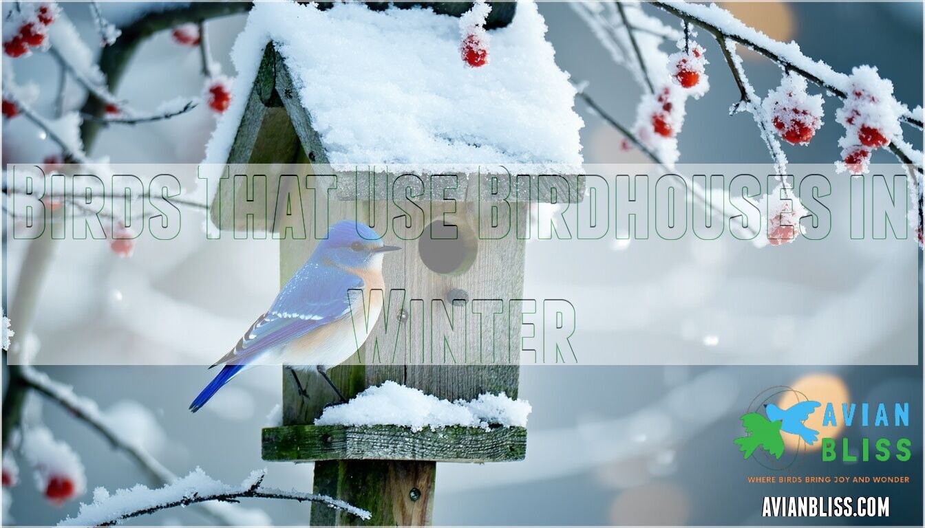 Bird House for Winter: 7 Easy DIY Solutions to Keep Feathered Friends Cozy!