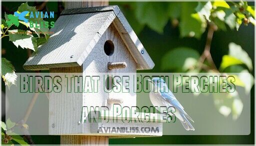 Bird House With Perches: Benefits, Tips & Top Designs for Your Garden