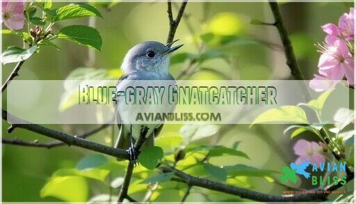 Small Birds in Florida: ID Guide with Photos