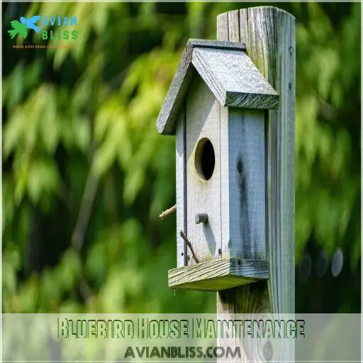 Bird House for Bluebirds: 9 Top Boxes That Attract Nesting Pairs Fast!